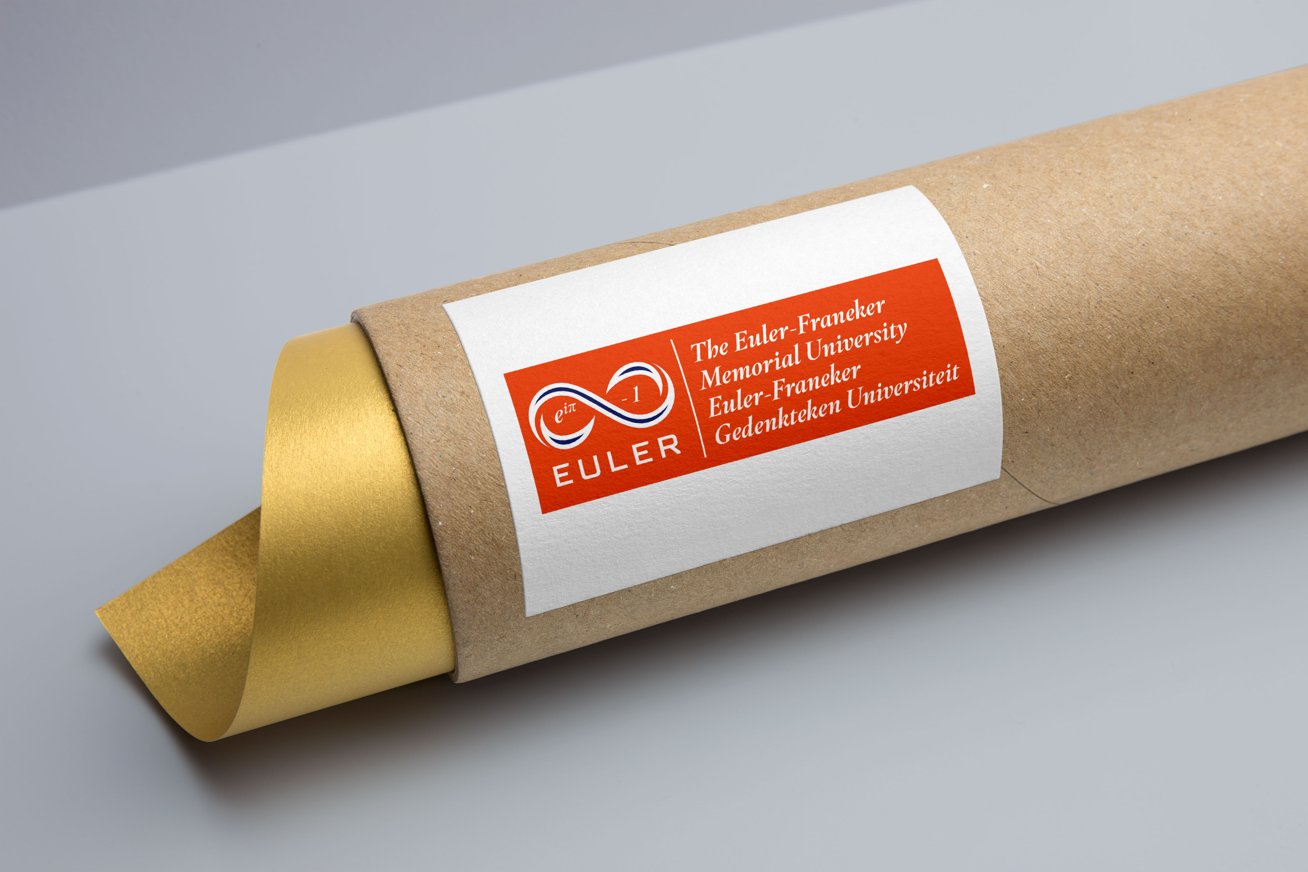 Apply at EULER - EFMU: The Euler-Franeker Memorial University and Institute